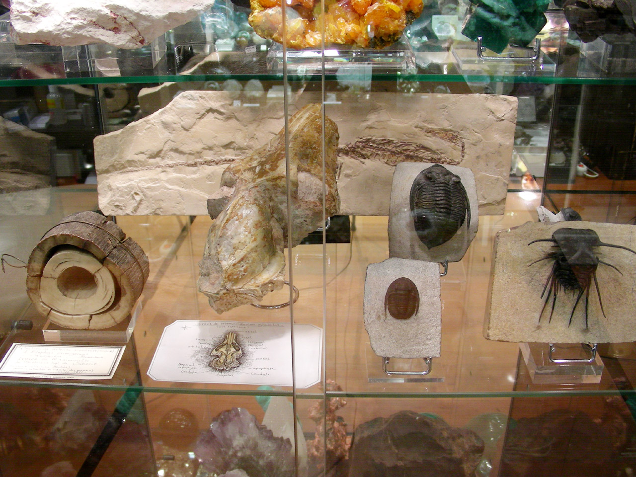 Photos Galerie Mineraux Alain Carion Paris